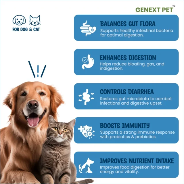 Shop Pet Probiotic Powder | Gut Health for Dogs & Cats