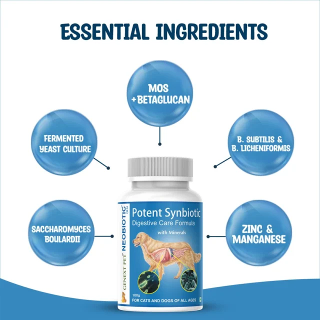 Shop Pet Probiotic Powder | Gut Health for Dogs & Cats